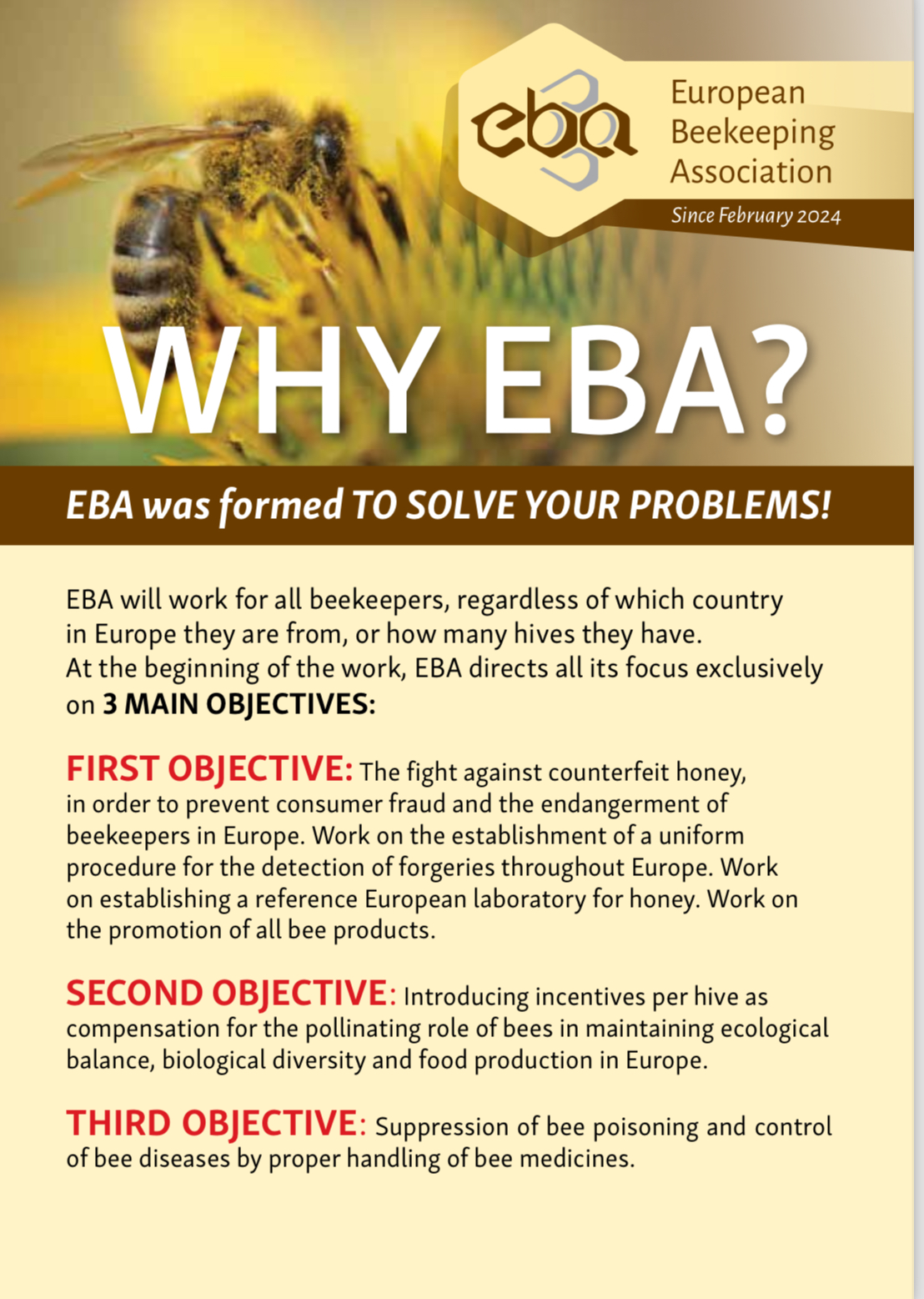 EBA PROMOTIONAL BROCHURE JUST FINISHED | EBA Europe | EBA Europe